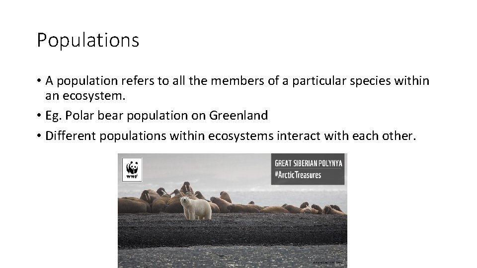 Biomes can be divided into Ecosystems What is