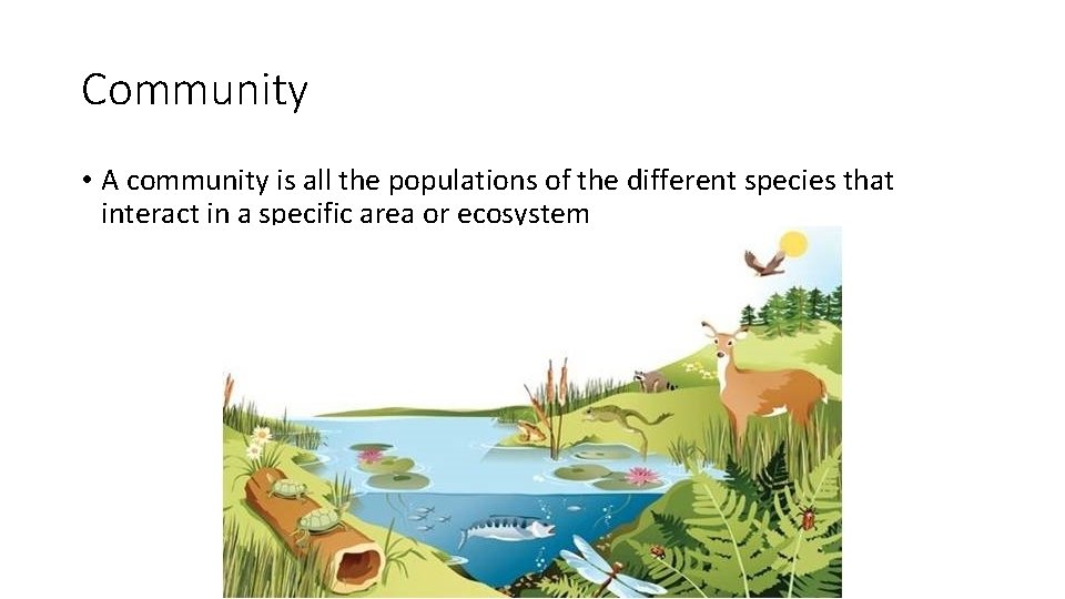 Biomes can be divided into Ecosystems What is