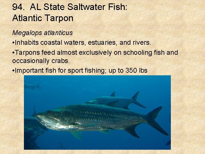 Biodiversity of Alabama State and National Symbols 90