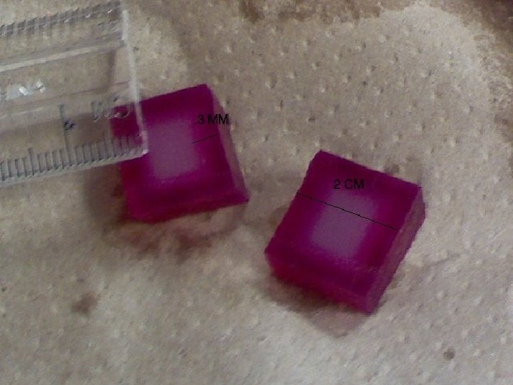 Cell Size Lab Procedure 1 Sit in your