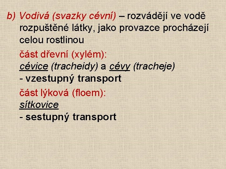 VNITN STAVBA TLA ROSTLIN Rostlinn pletiva Obecn charakteristika