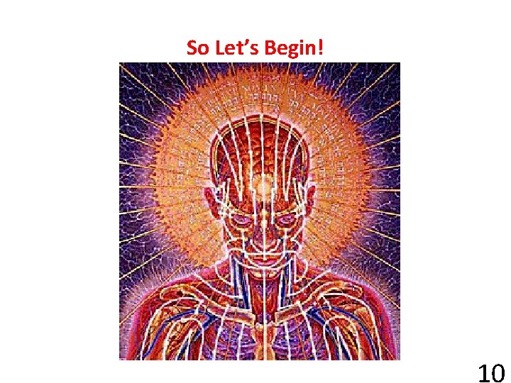 Body Blitz an overview of human body systems
