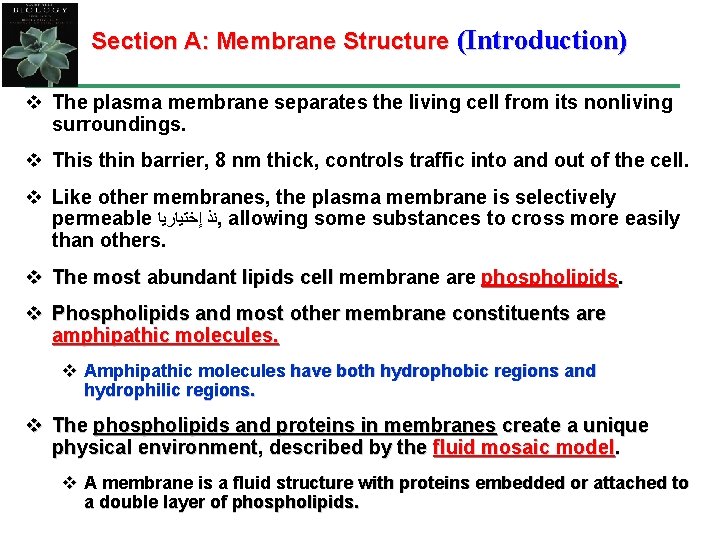 CHAPTER 5 MEMBRANE STUCTURE THE STRUCTURE AND FUNCTION