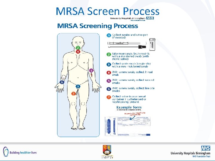 Swabs Learning Outcomes By the end of the