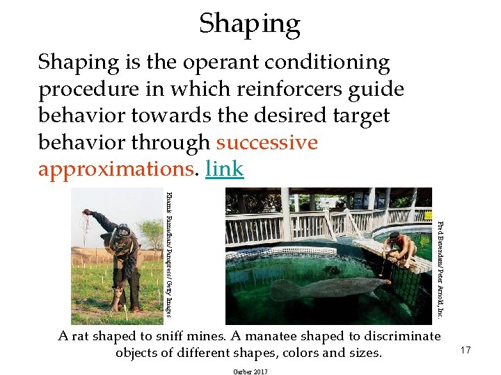 Operant Conditioning Module 19 1 Garber 2017 Learning