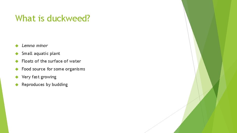 Duckweed Lab Environmental Science Warm Up We will