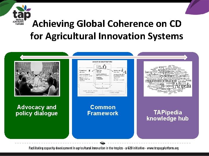 Bringing Transformational Learning and Capacity Development to Universities