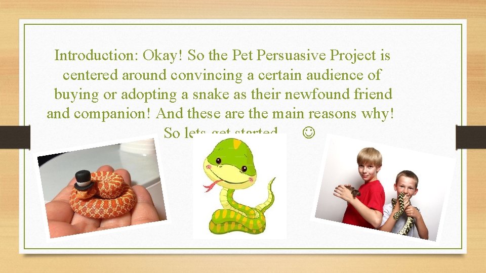 The Pet Snake Persuasive Project By Emily Medina