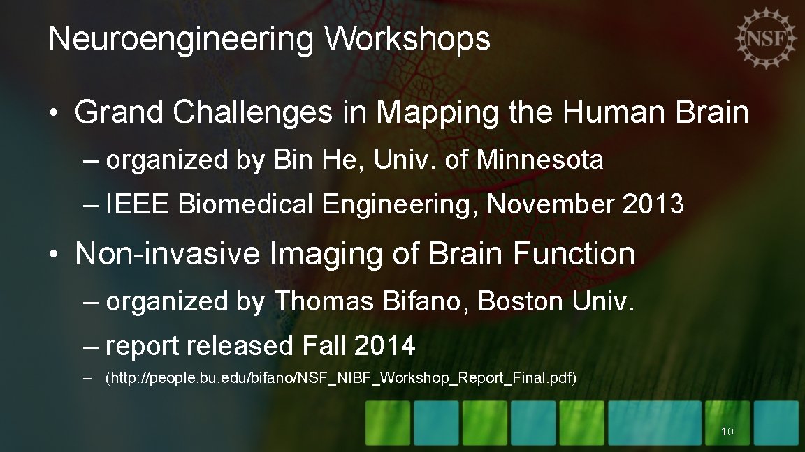 Innovative Neurotechnologies for Brain Research A Perspective from