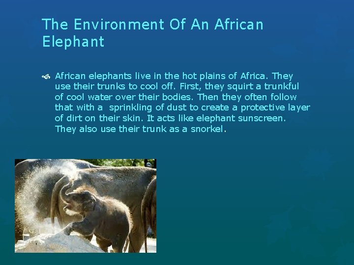 African Elephants By Audrey Davis Characteristics Of African