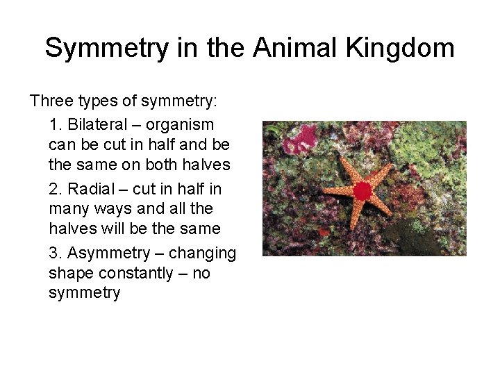 Chapter 16 Mammals AnimalsVertebratesMammals On the fifth and