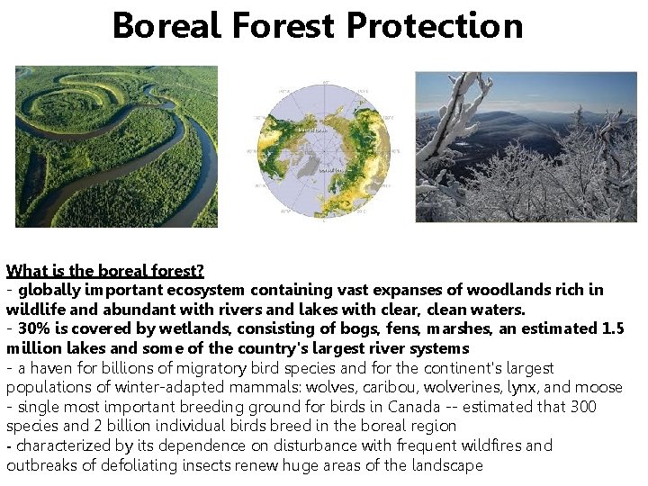 Recent Major Environmental Issues in Ontario Biodiversity Protection