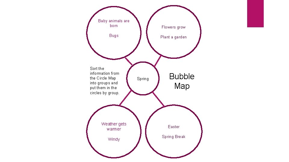 Circle and Bubble Maps AN EASY WAY TO