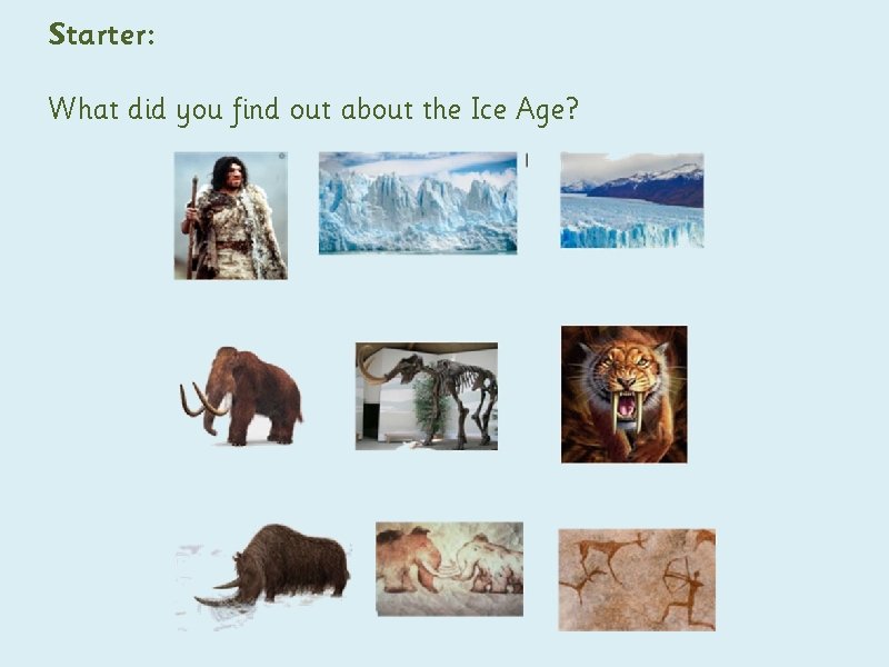 History What do we learn about in History