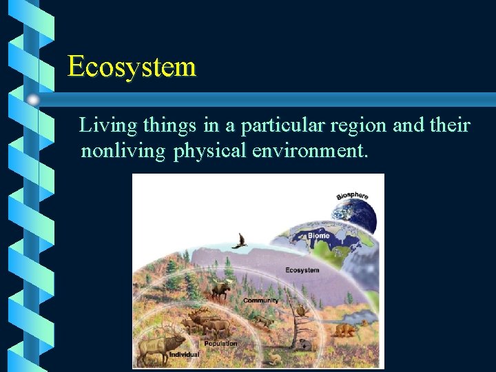Levels of Biological Organization Biosphere Our entire planet