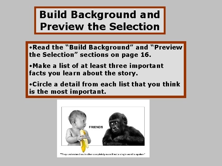 Amigo Brothers By Piri Thomas Forms of Prose