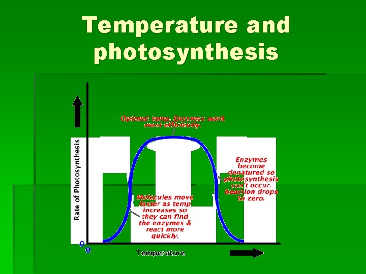 Photosynthesis Photosynthesis Photosynthesis is the process by which