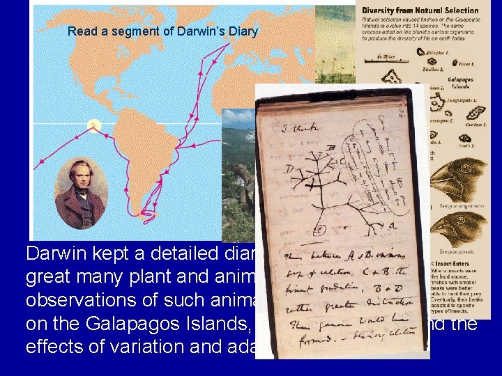 Darwin was born into the family of a