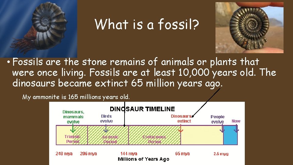 What do we know about Thursday 14 th