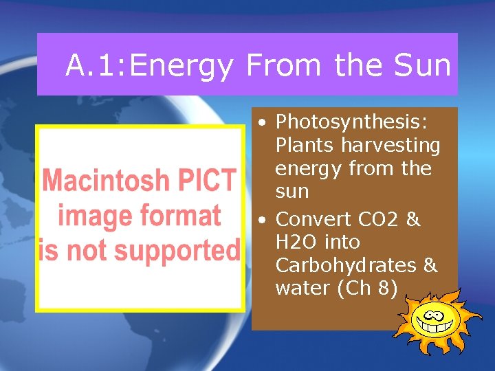 Chapter 3 The Biosphere Section 3 2 Energy