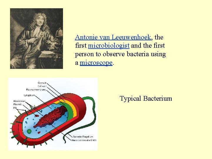 Microorganisms Chapter 20 Microbiology Microbiology is the study