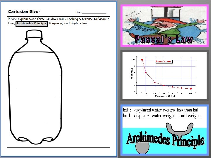 Cartesian Diver Squidy Summary Guidelines Please be sure
