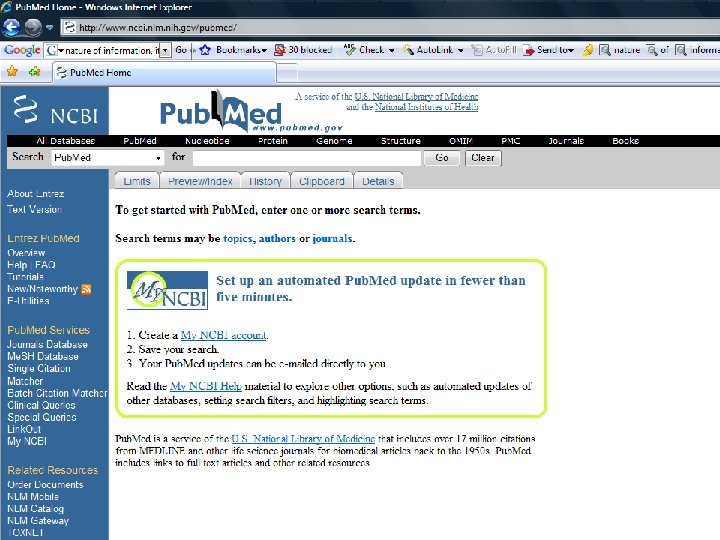 Dynamic Hybrid Clustering of Bioinformatics by Incorporating Text