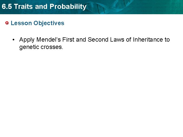 Biology Unit Four B Mendelian Genetics Mrs Pearsons