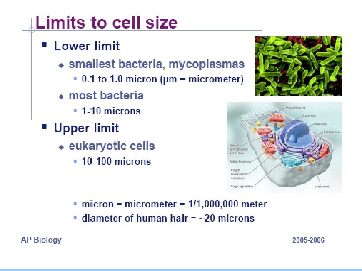 AP BIOLOGY Cell Structure INTRO Chapter 6 Slide