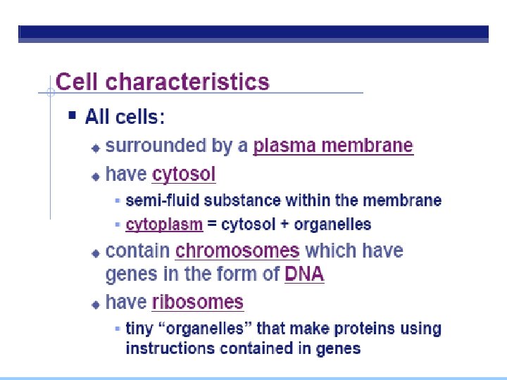 AP BIOLOGY Cell Structure INTRO Chapter 6 Slide