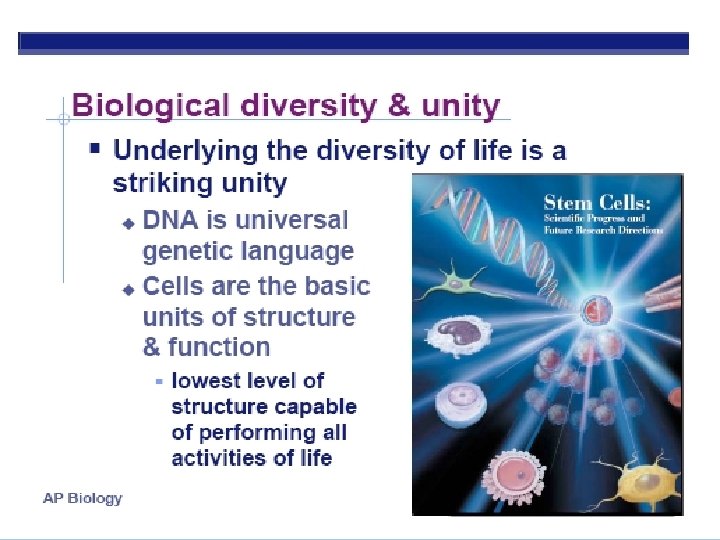AP BIOLOGY Cell Structure INTRO Chapter 6 Slide