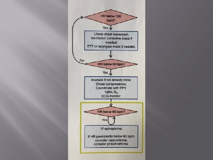 Neonatal Resuscitation Medications Objectives When To Give Epinephrine