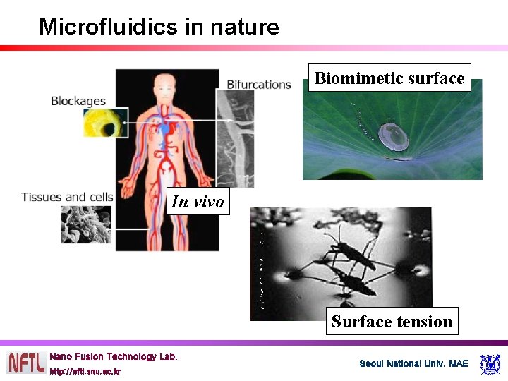 Fundamentals of Multiscale Fabrication Lecture 11 Applications III