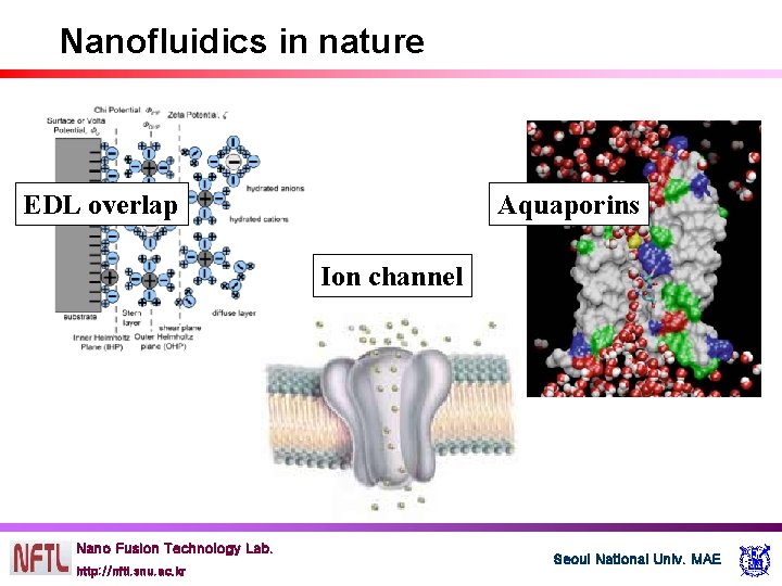 Fundamentals of Multiscale Fabrication Lecture 11 Applications III