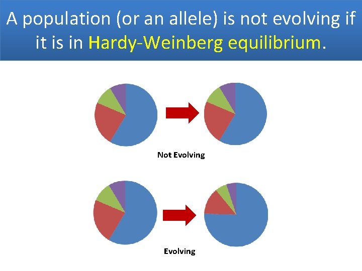 HardyWeinberg Equilibrium Model The HardyWeinberg model states that