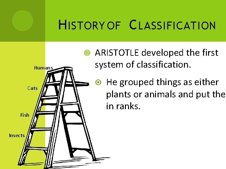 C LASSIFICATION C LASSIFICATION Classification grouping objects or