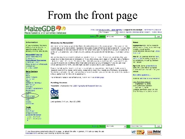 An overview of the Maize GDB project and