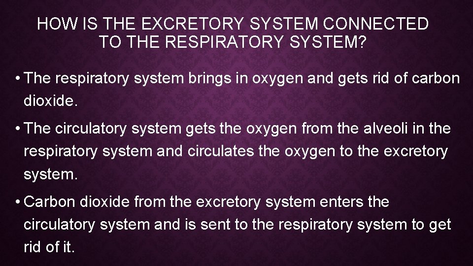 CONNECTIONS TO BODY SYSTEMS HOW IS THE EXCRETORY