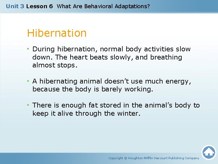 Unit 3 Lesson 6 What Are Behavioral Adaptations