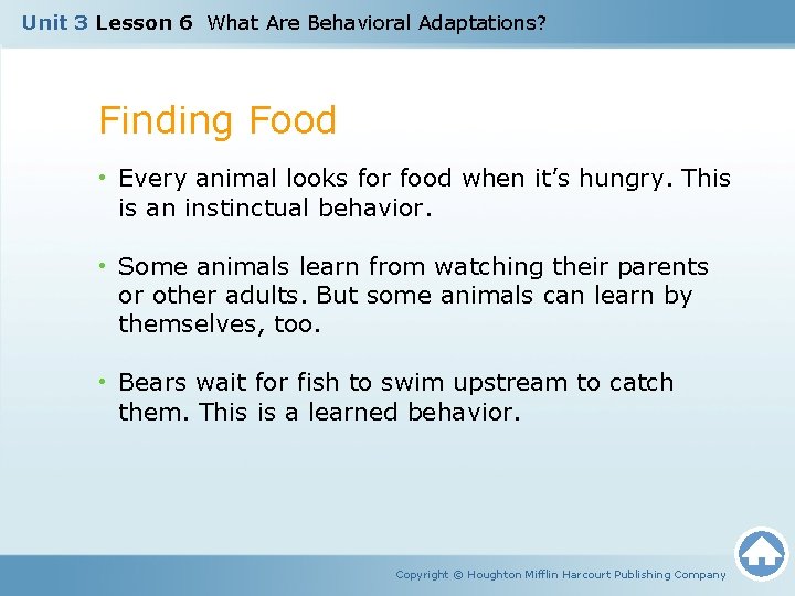 Unit 3 Lesson 6 What Are Behavioral Adaptations