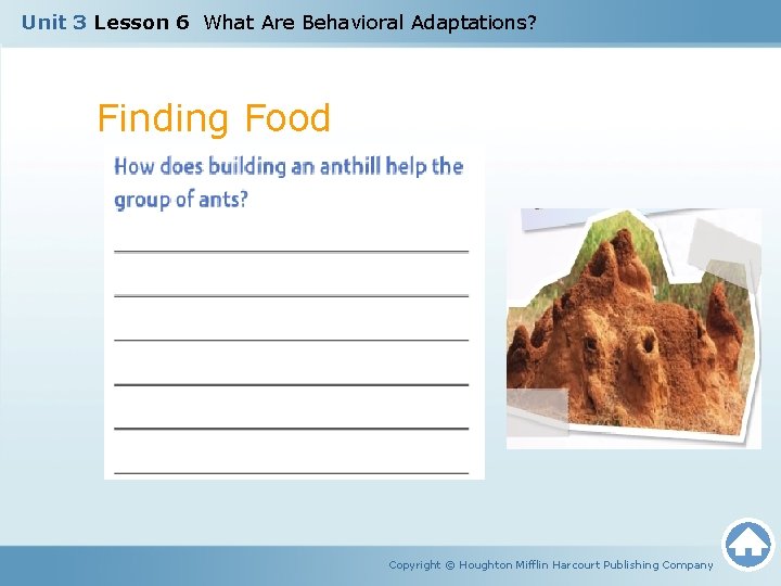Unit 3 Lesson 6 What Are Behavioral Adaptations