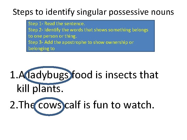 Partner share Learning Objective Identify singular possessive nouns