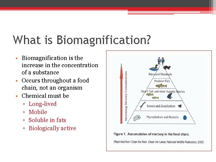 What have we done AP Biology DEFORESTATION WHATS