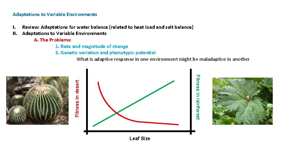 Adaptations to Variable Environments Adaptations to Variable Environments Adaptations to Variable Environments Adaptations to Variable Environments