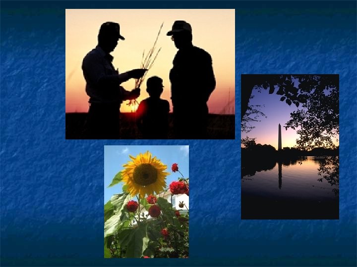 Simple photojournalism Composition and storytelling 10 basic ideas