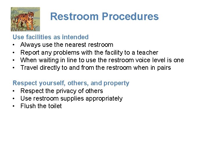 TIGER NATION Mr Gibson 3 rd Grade Class