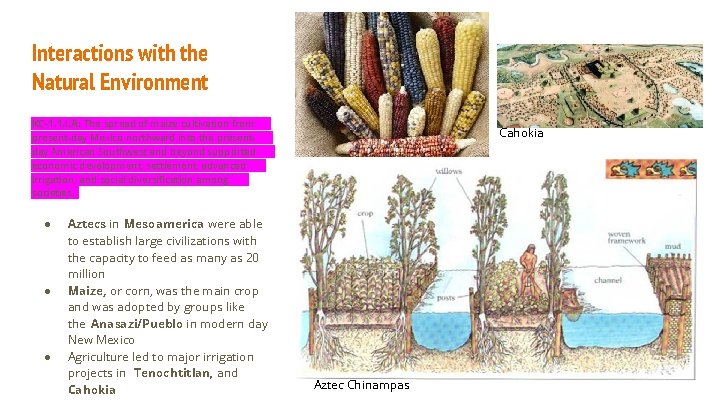 Native American Societies Before European Contact Theme Geography