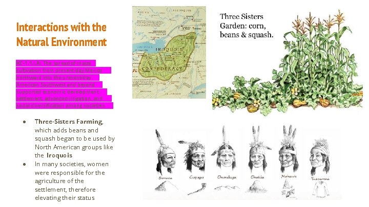 Native American Societies Before European Contact Theme Geography
