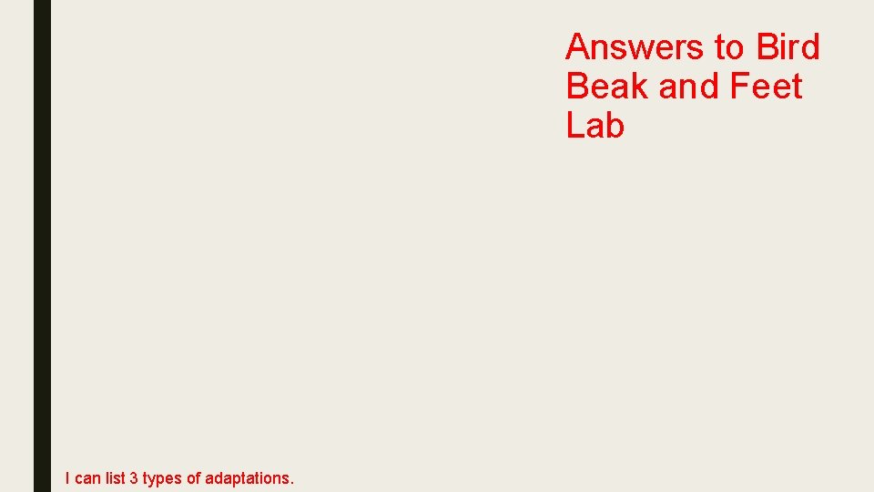BIRD BEAK AND FEET LAB ANSWERS Get ready