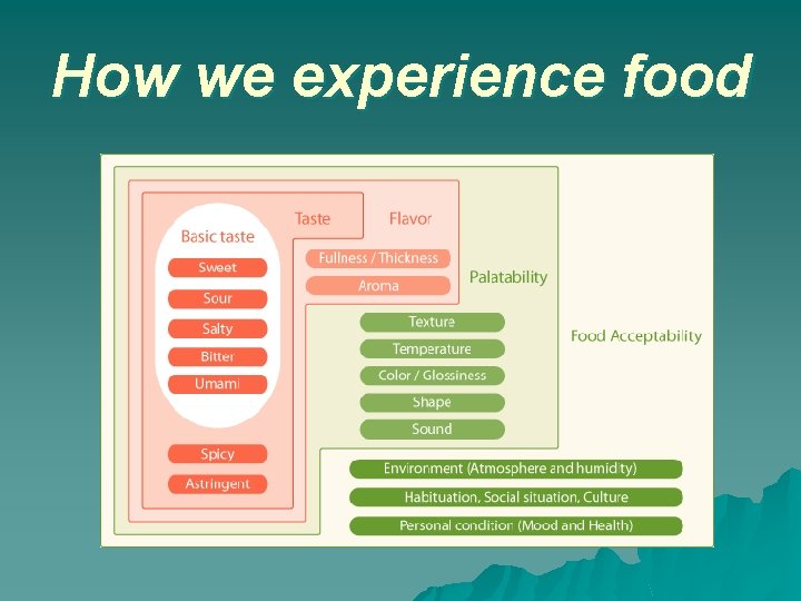 FOOD SCIENCE SENSORY EVALUATION OF FOOD Prepared by